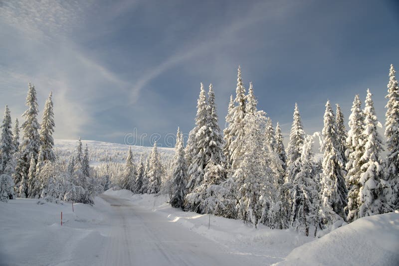 Sunny mountain road stock photo. Image of sunny, hill - 30283034