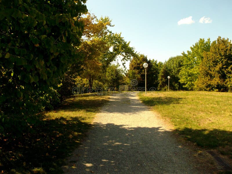 Sunny park afternoon stock image. Image of side, light - 62204237
