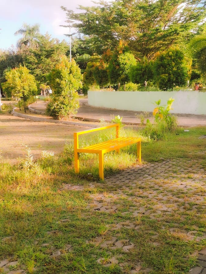 Sunny Park Bench stock photo. Image of nature, estate - 377077306