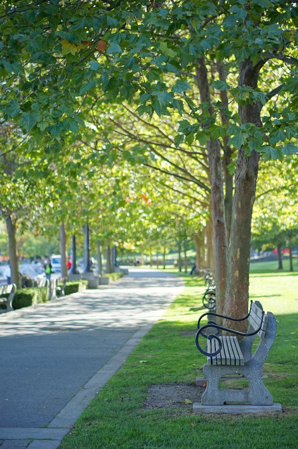 Park alley stock photo. Image of leisure, relax, daylight - 27124762