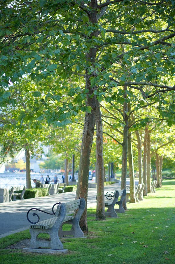 Sunny Park Day stock image. Image of autumn, foliage - 36335021