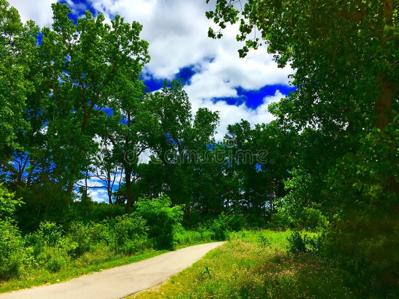 Sunny Park Path stock image. Image of summer, blue, clouds - 75161973