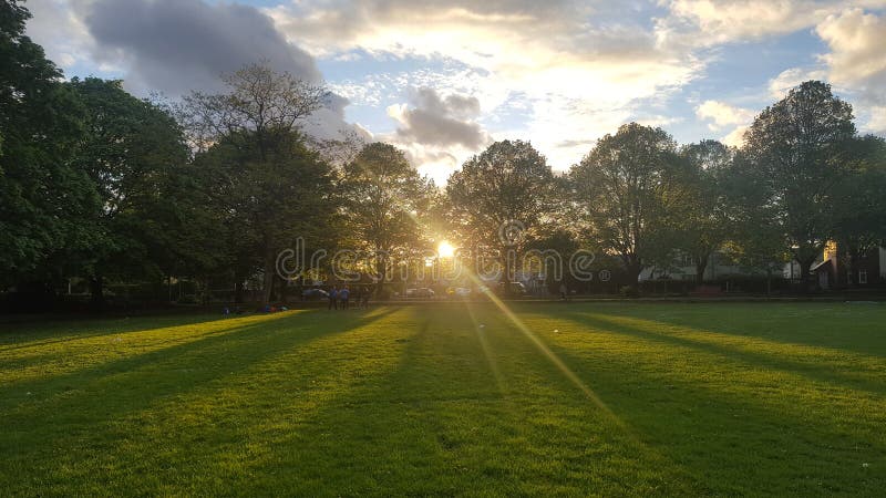 Sunny park pretty editorial image. Image of landscape - 169678405