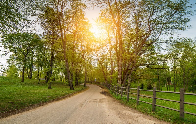 Sunny Path stock image. Image of landscape, nature, iron - 44980589