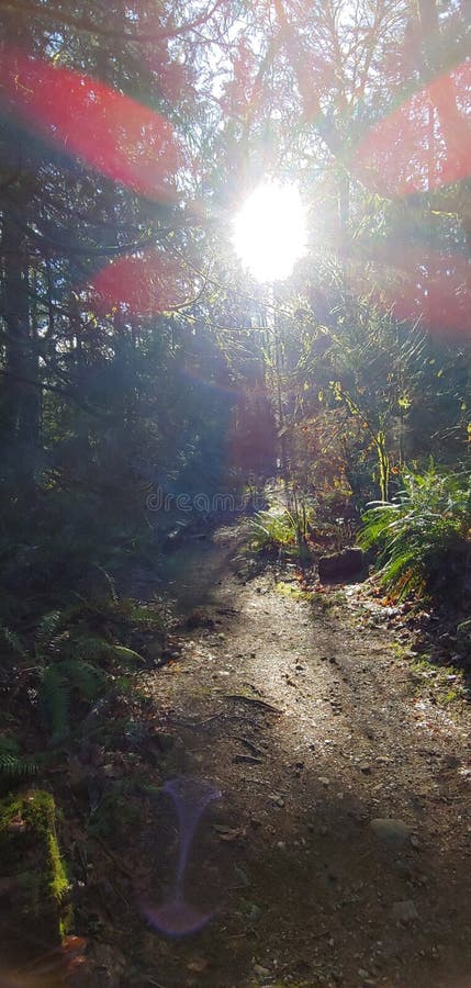 251,387 Sunny Path Photos - Free & Royalty-Free Stock Photos from ...