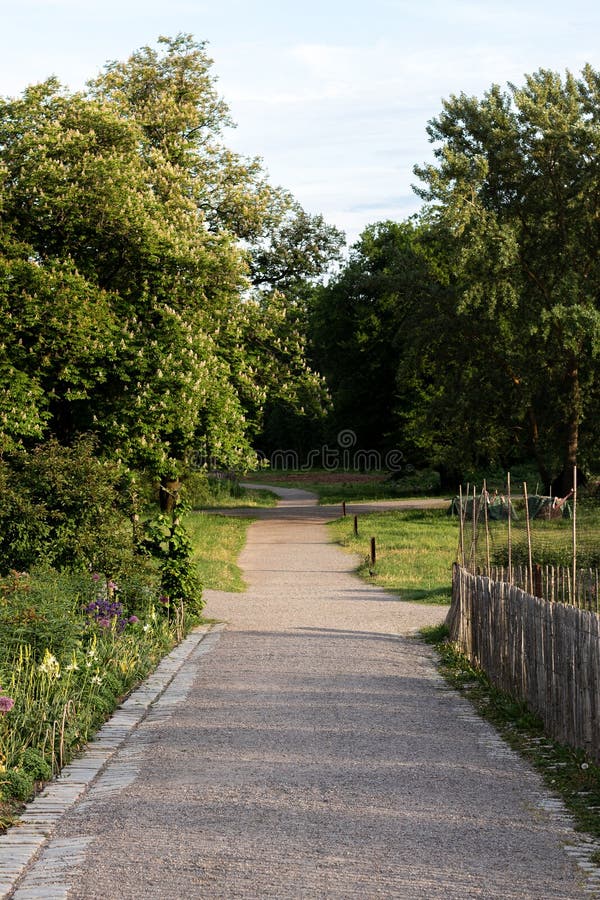 The Sunny Pathway Right through Rosendal Stock Photo - Image of right ...