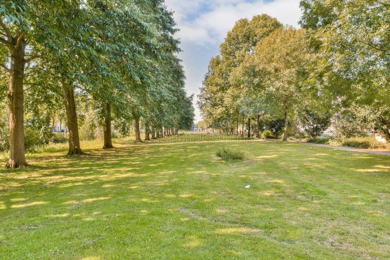 Sunny Pathway Surrounded by Trees Stock Image - Image of landscape ...