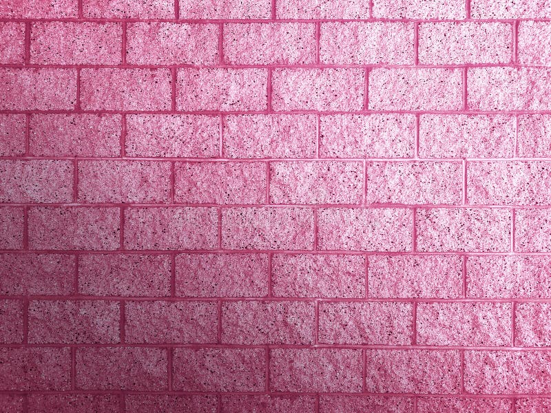 Sunny Pink Solid Block Brick Wall Closeup Cement Cinder Blocks Exterior ...