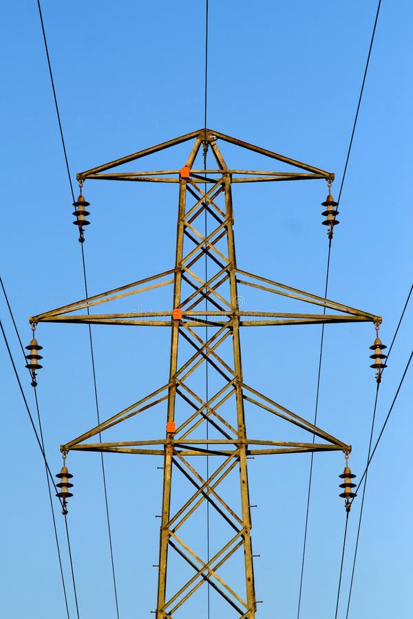 Elelctricity. Power Distribution Cable and Junction on Wooden Te Stock ...