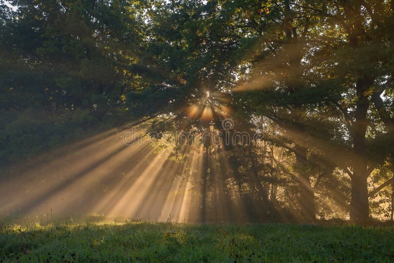 Sunny ray spring morning stock image. Image of bright - 57312371