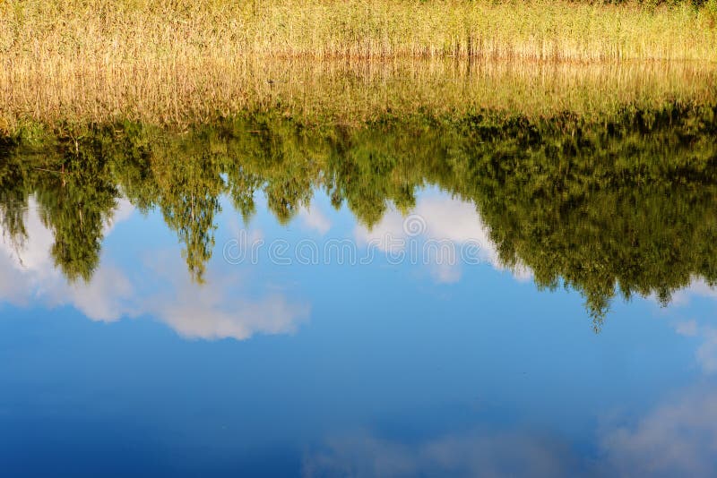 Sunny reflections stock image. Image of pond, lake, bright - 50692831