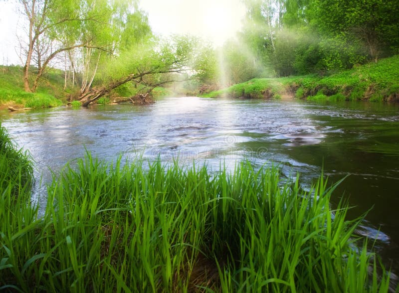 Sunny river stock photo. Image of environment, fresh, ecology - 9543852