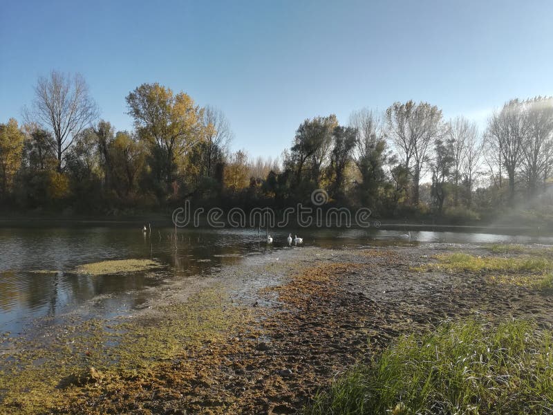 Sunny River stock photo. Image of autumn, morning, wetland - 233470780