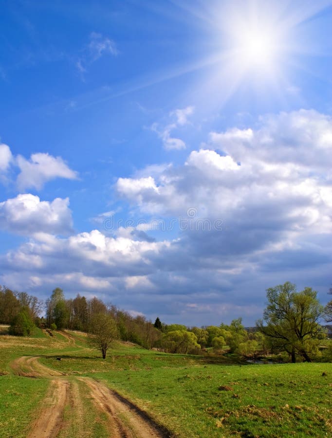 Sunny road stock photo. Image of forest, environment - 10958848