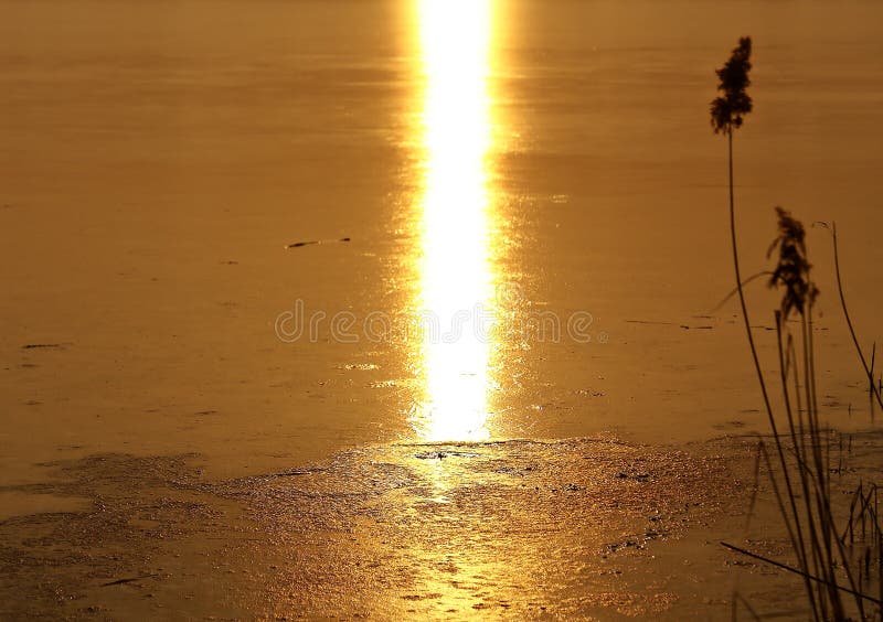 Sunny Road stock image. Image of sunrise, ocean, water - 4298393