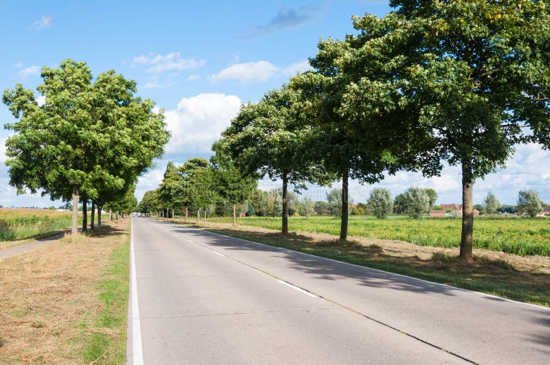 Sunny road stock photo. Image of color, country, background - 17261018