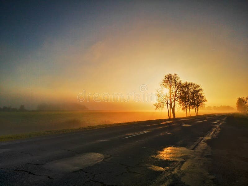 Sunny Road Stock Photos - Download 336,708 Royalty Free Photos