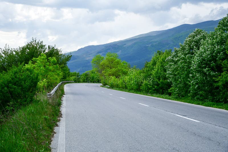 Sunny road stock photo. Image of endless, country, environment - 115882032