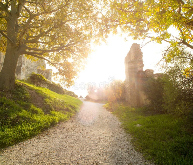 Sunny road stock photo. Image of bright, golden, path - 31644228