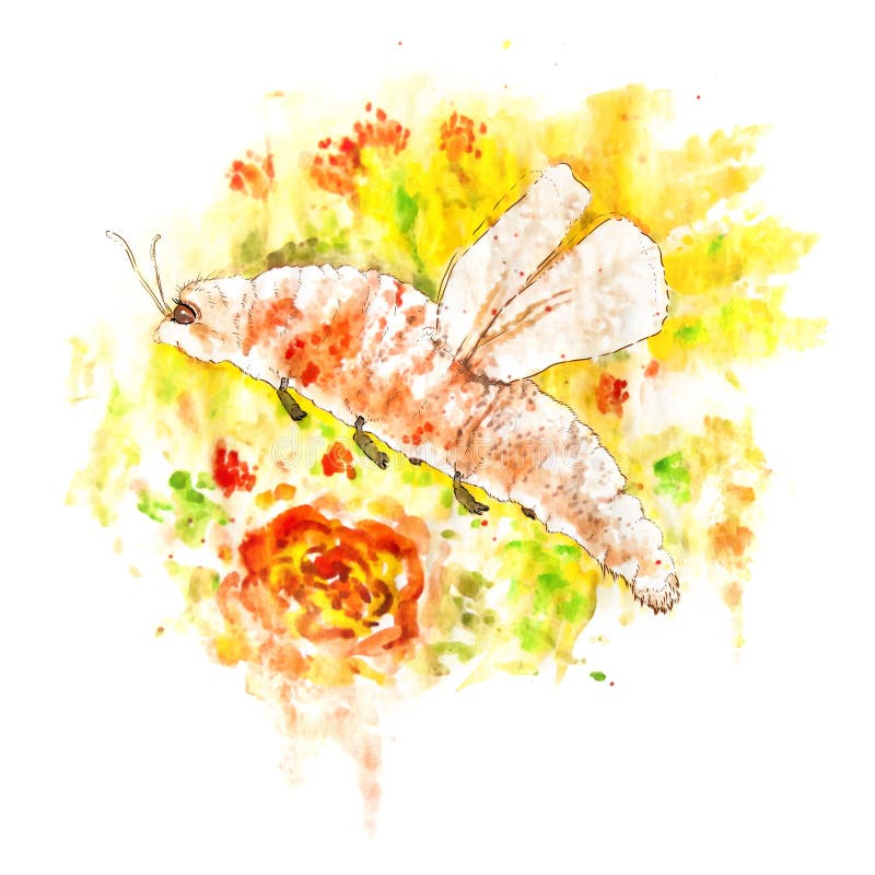 Roisterer Flies Stock Illustrations – 1 Roisterer Flies Stock ...