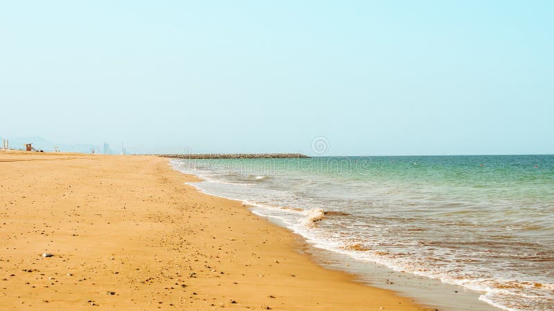 Sunny Day at Sandy Beach in Grenada Stock Image - Image of pelicans ...