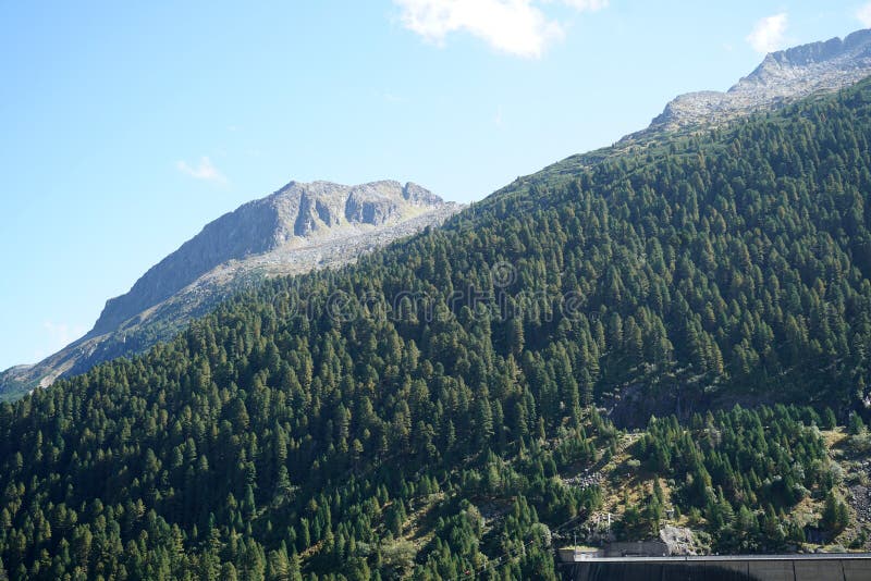 Sunny Scenery of an Amazing Mountain Landscape Covered with Trees Stock ...