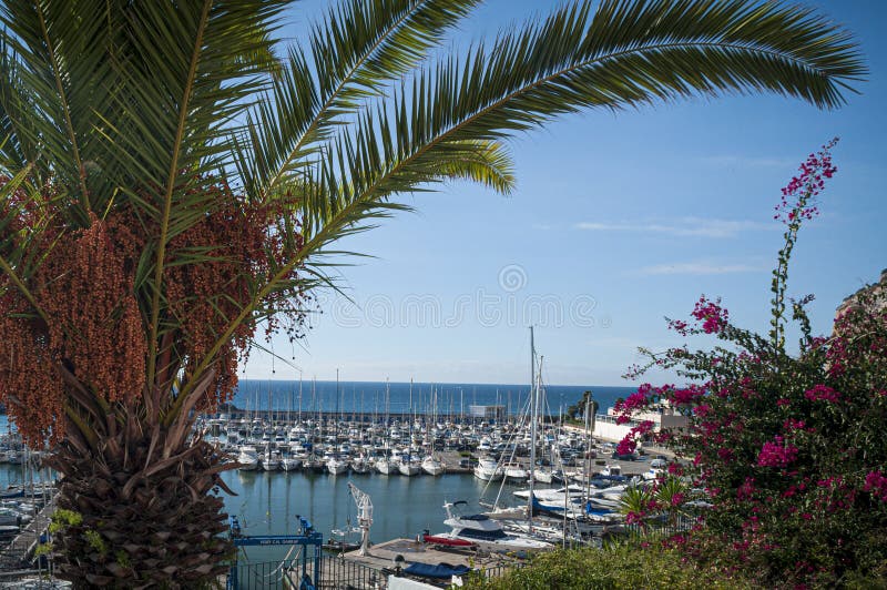 Sunny Scenery of a Beautiful Coastal Harbor with Lots of Boats Stock ...