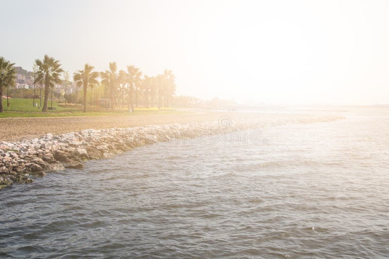 Sunny Sea Coast stock photo. Image of sunshine, water - 54711020