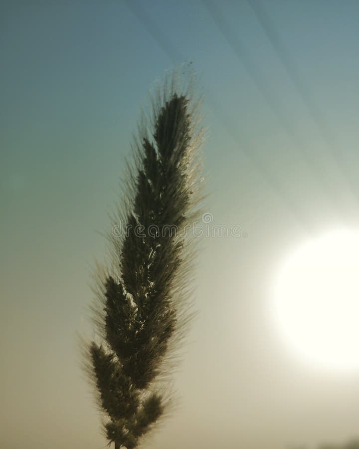 The sunny season stock photo. Image of warm, season - 124403502