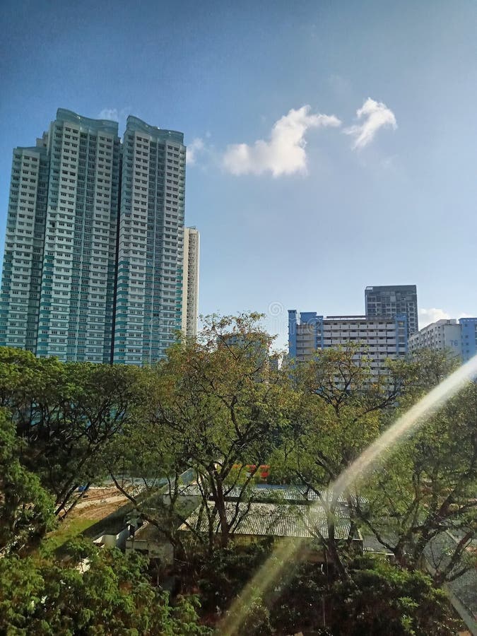 Sunny Sky City Bright Blue Nature Tree Green Light Stock Photo - Image ...