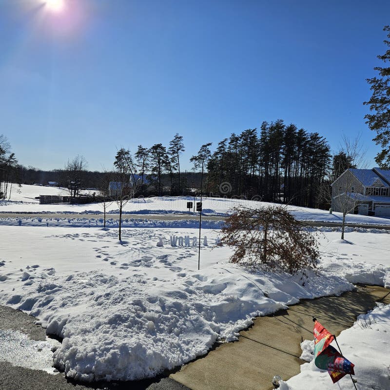 Sunny Snowy day stock photo. Image of snow, outside - 369353788