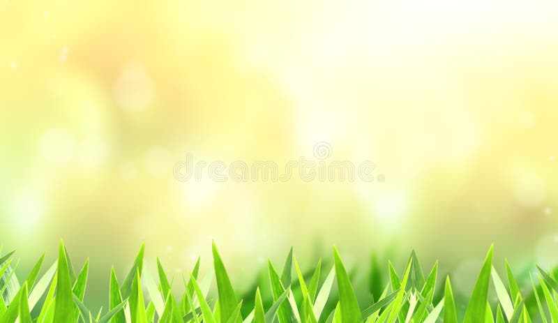 Sunny Spring Background with Green Grass Stock Photo - Image of herbal ...