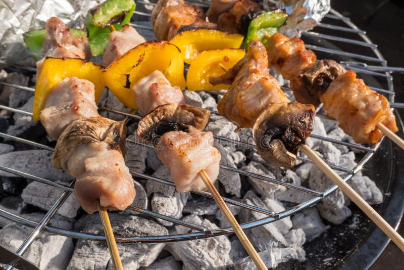 Sunny Spring Day Barbecue stock image. Image of yellow - 90249033