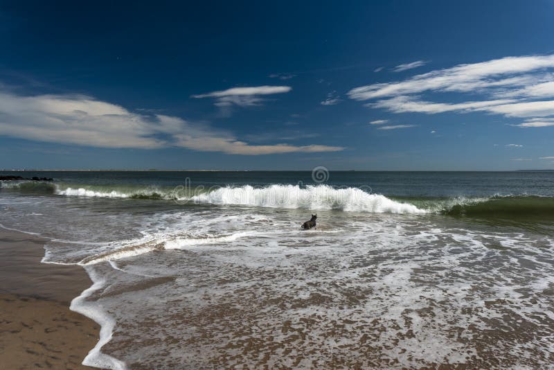 Sunny Spring Day on the Beach Stock Photo - Image of brighton ...