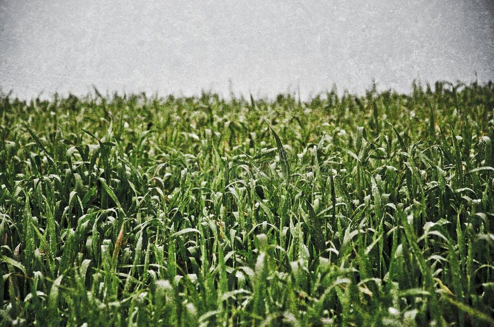 Sunny spring day stock photo. Image of blue, people, field - 41368064