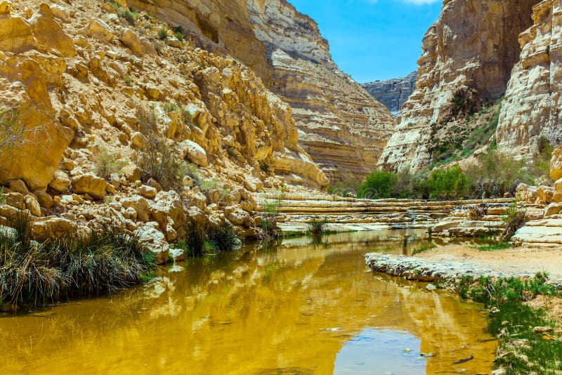 Sunny Spring Day in the Negev Desert Stock Image - Image of concept ...