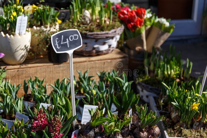 Sunny spring day in Oxford stock photo. Image of pounds - 68859902