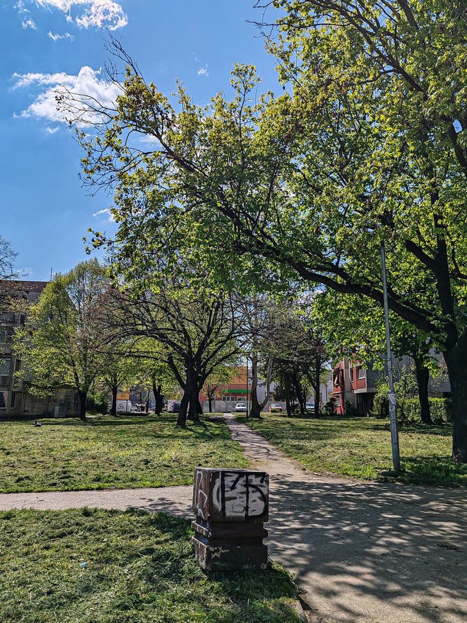 Sunny Spring Day in the Park, Belgrade, April 2025 Editorial Image ...