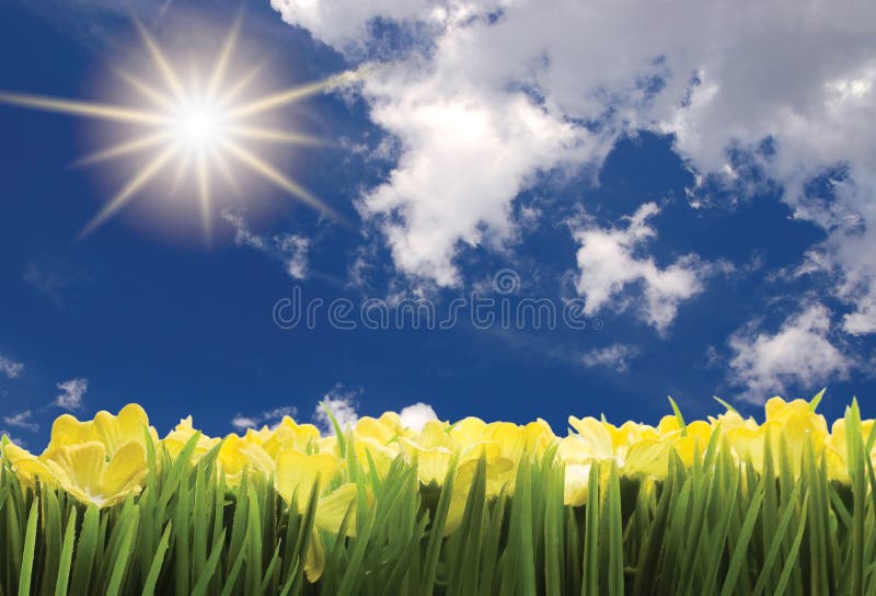 Sunny spring landscape stock photo. Image of lawn, idyllic - 2852912