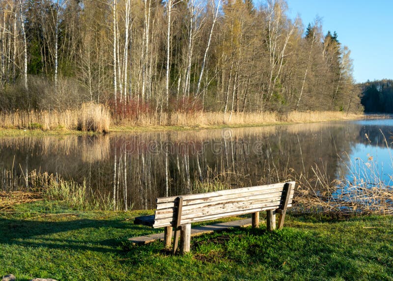 Sunny Spring Landscape with Calm Lake, First Green of Spring in Trees ...