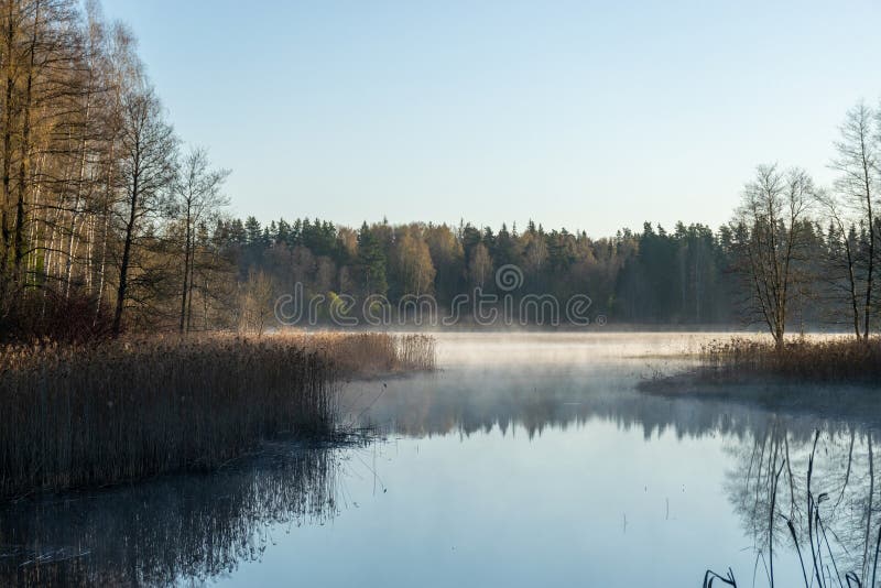 Sunny Spring Landscape with Calm Lake, First Green of Spring in Trees ...
