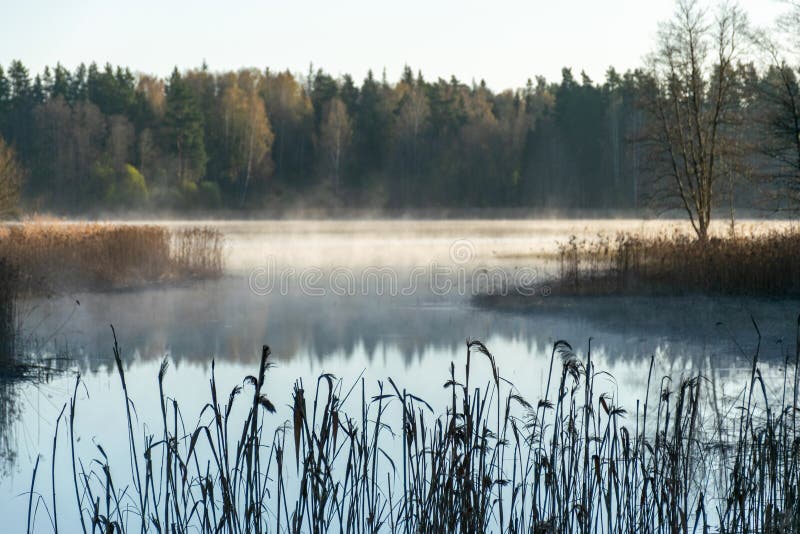 Sunny Spring Landscape with Calm Lake, First Green of Spring in Trees ...