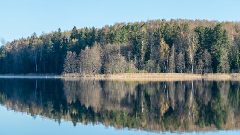 Sunny Spring Landscape with Calm Lake, First Green of Spring in Trees ...