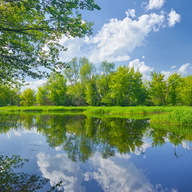 Sunny Spring Landscape Narew River Blue Sky Trees Stock Photo - Image ...