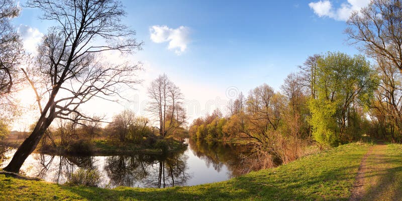 Sunny Spring Landscape. River in a Green Forest Stock Image - Image of ...