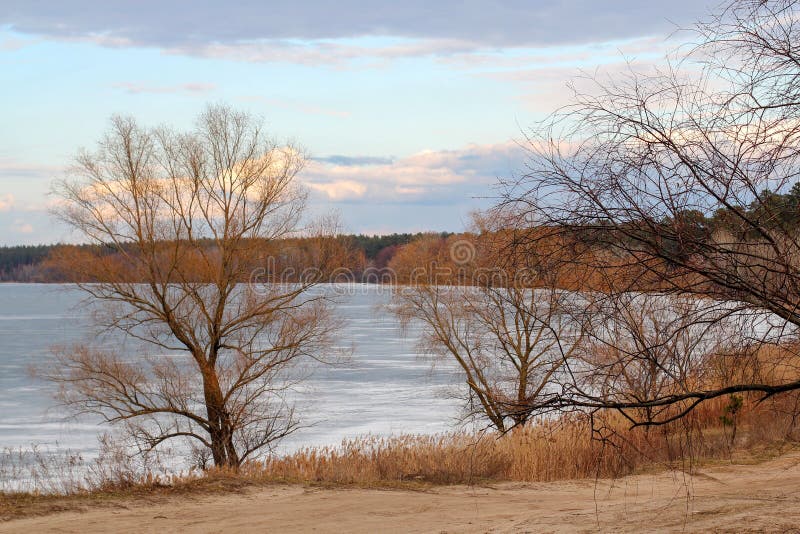 Sunny Spring Landscape with Tree with Bare Branches and Reflection of ...