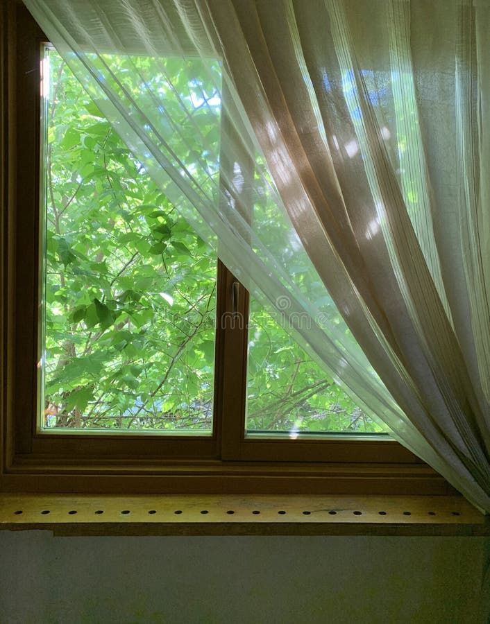 Sunny Spring Outside the Window. Window in the House on a Background of ...