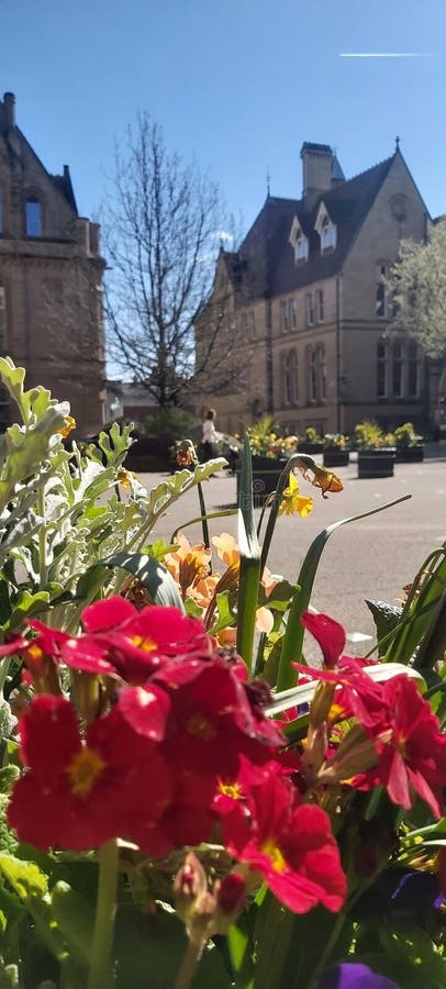Sunny Spring at the University of Manchester with Crystal Blue Sky ...