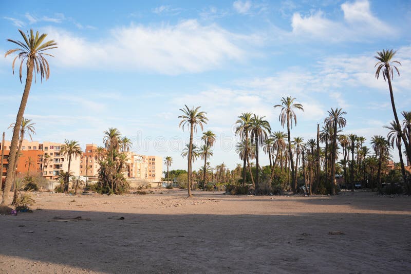Sunny Square with Palm Trees in Morocco Marrakesh Stock Image - Image ...