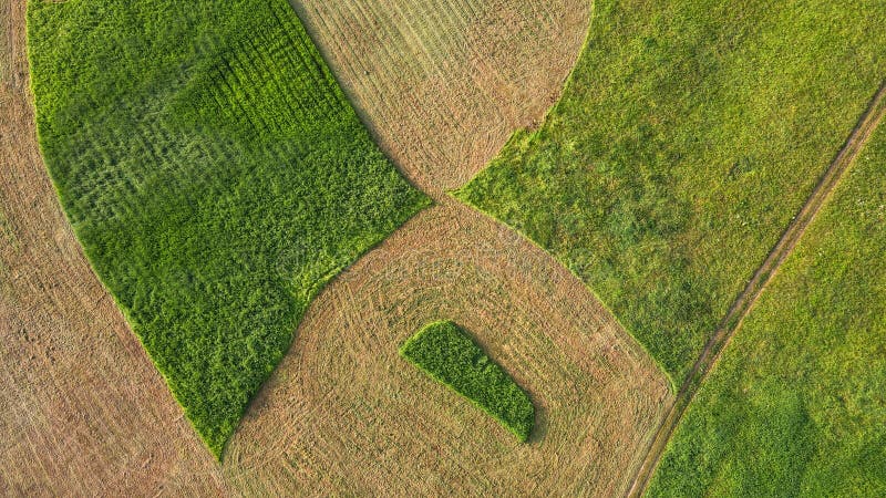 A Path in the Green Field from Above. Stock Image - Image of sunny ...